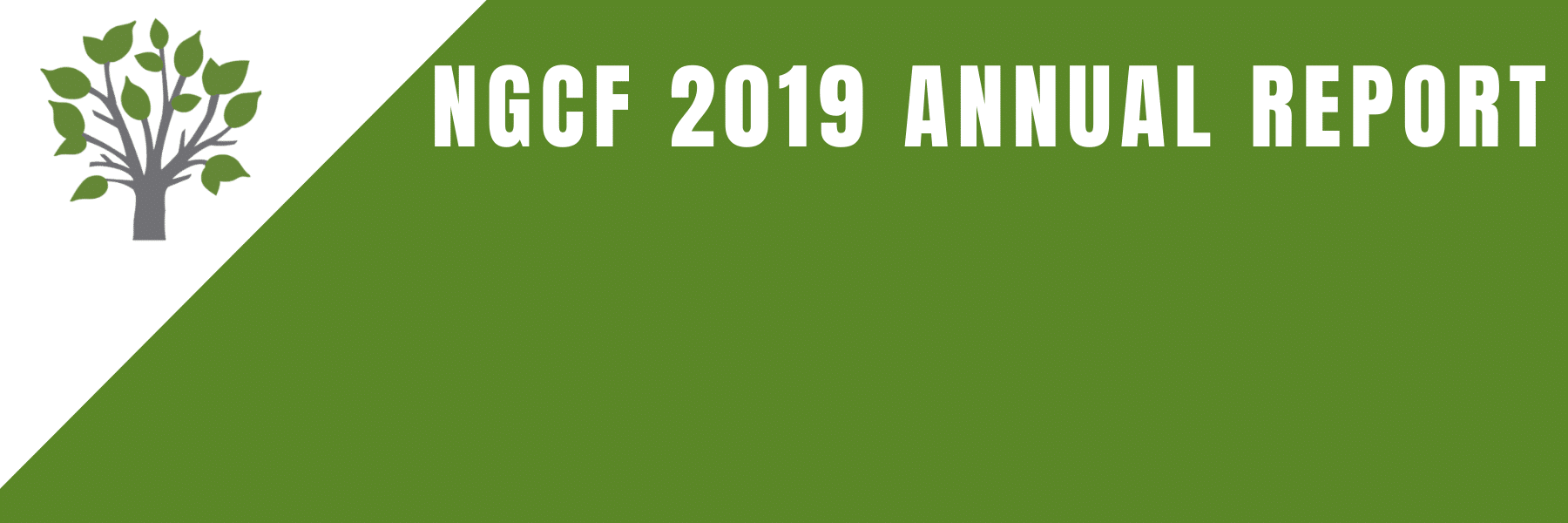 NGCF 2019 Annual Report - North Georgia Community Foundation