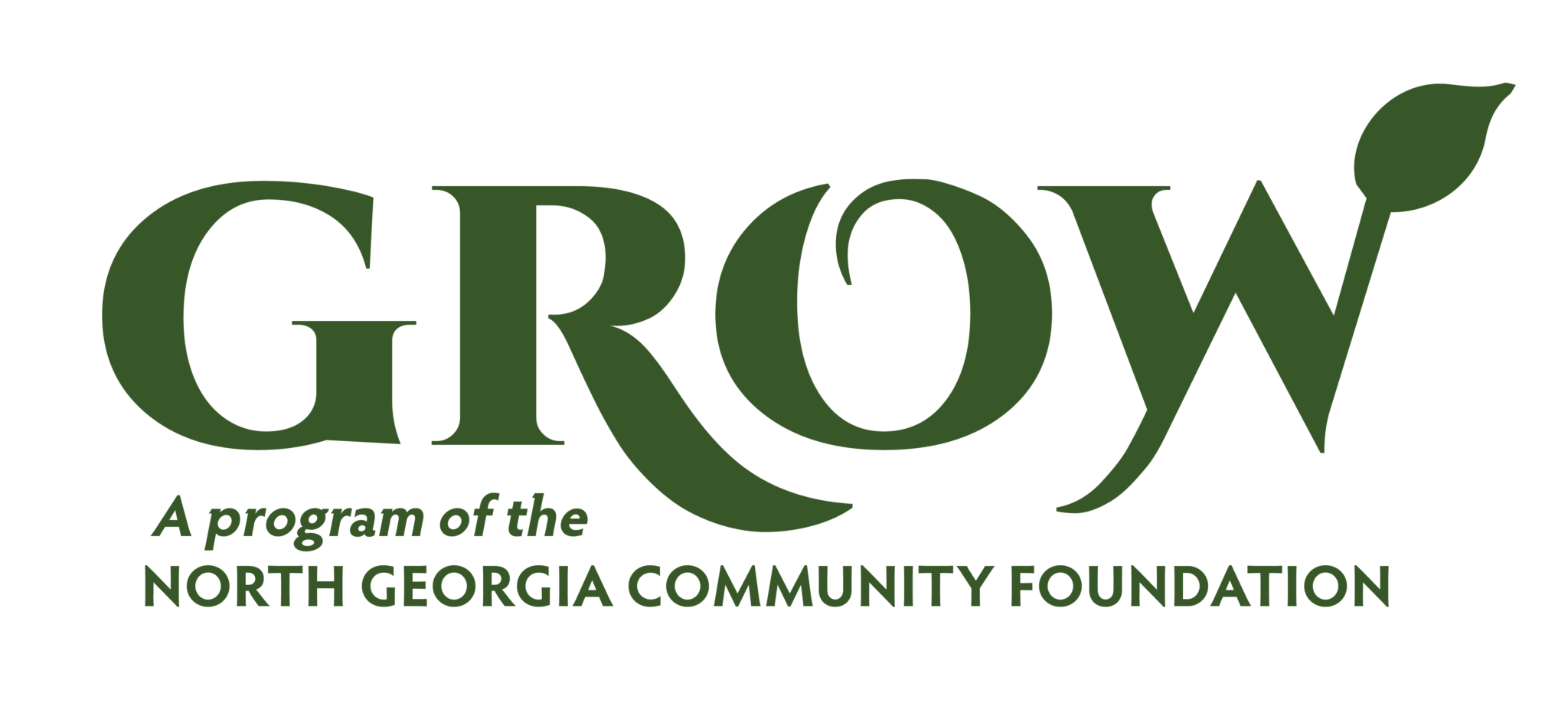 - North Georgia Community Foundation